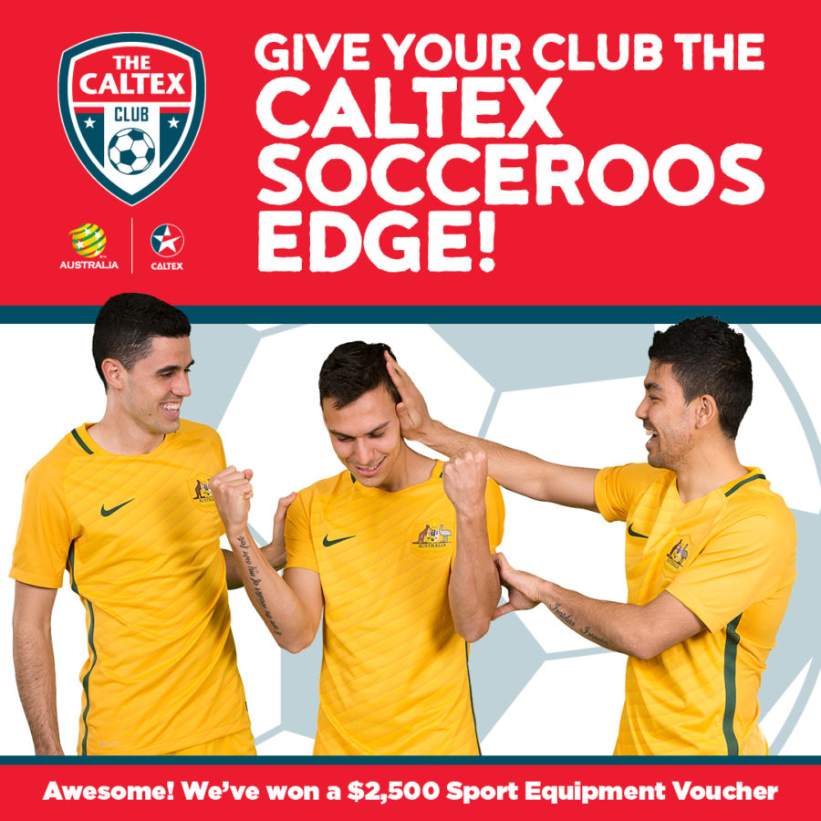 BMFC Level 3 Tile – Blue Mountains Football Club